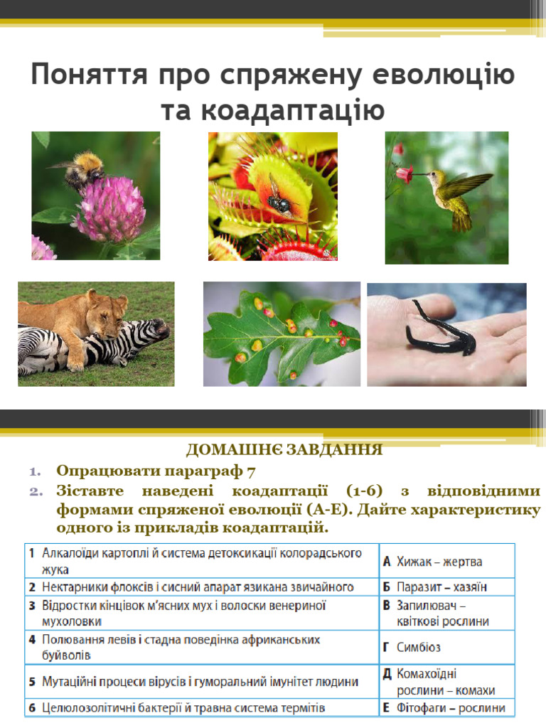 Grupa 10 Urok 7 Biologija | PDF