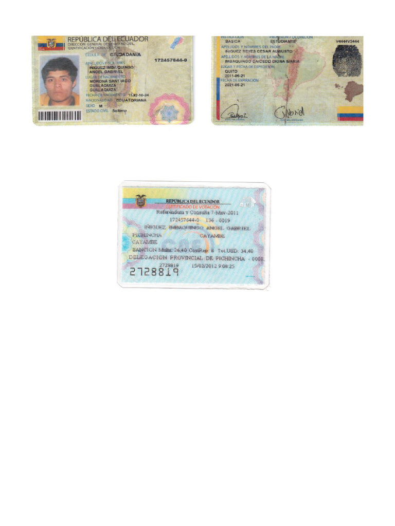 Documentos Gabriel Iñiguez | PDF