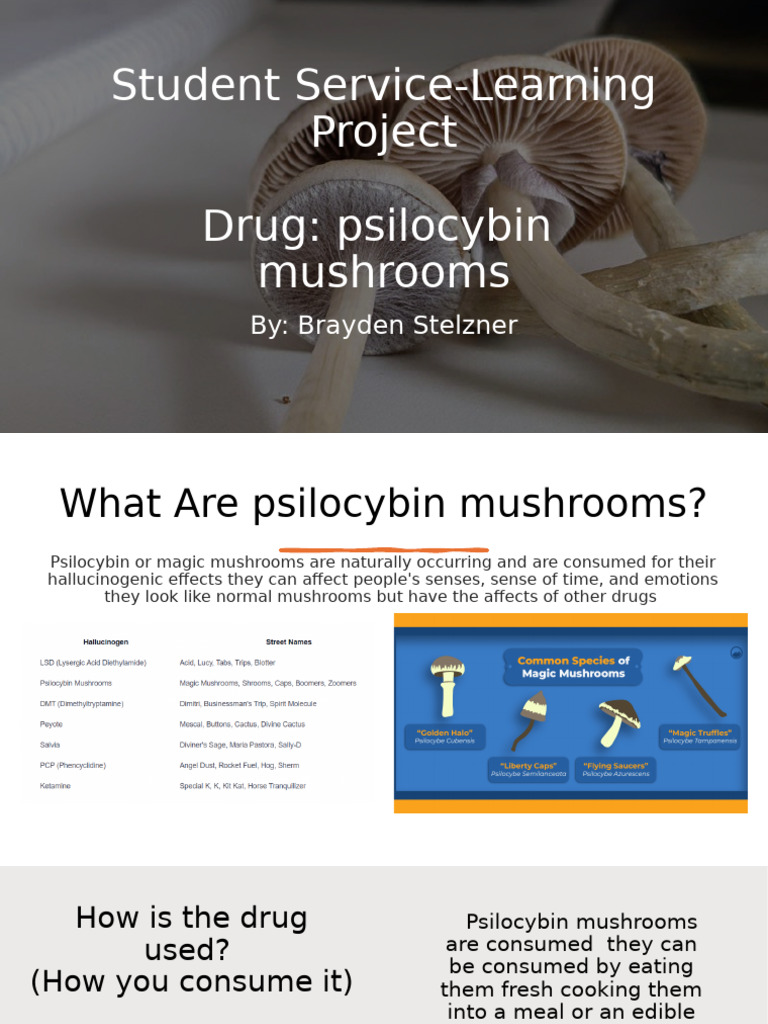 All About Shrooms | PDF | Psilocybin | Psychoactive Drugs