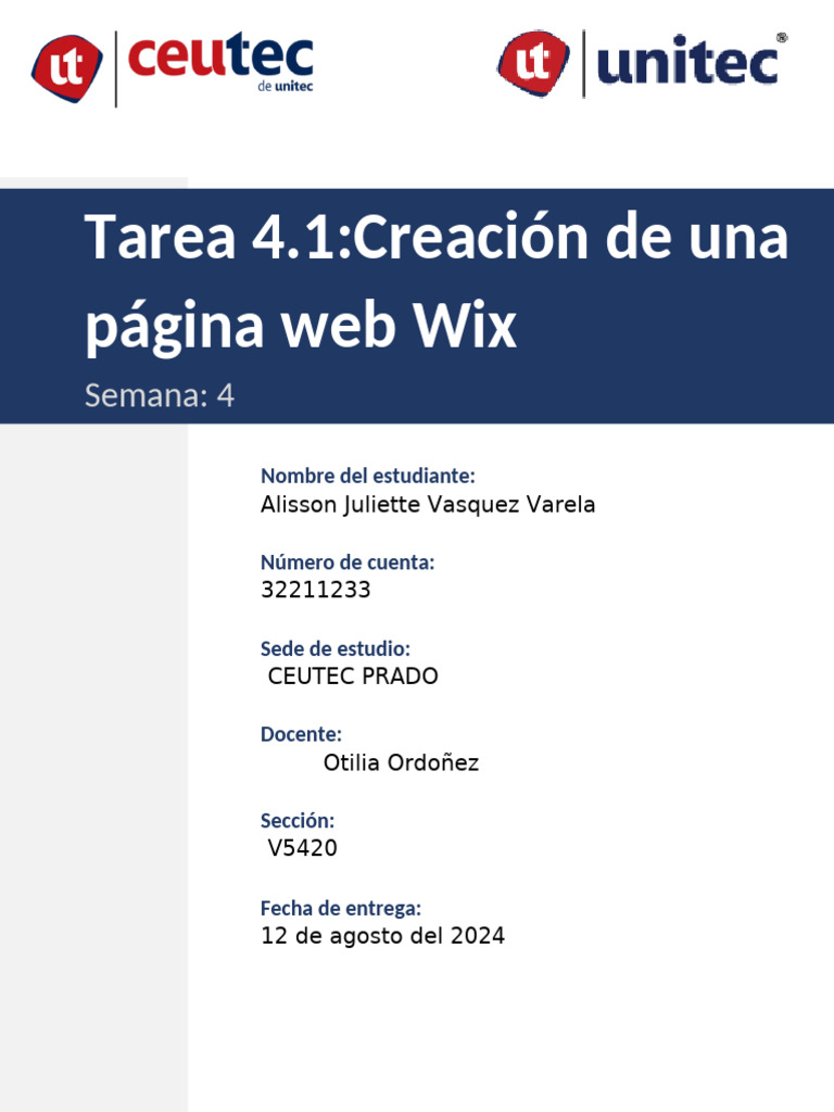 TAREA 4.1 - Alisson Vásquez | PDF