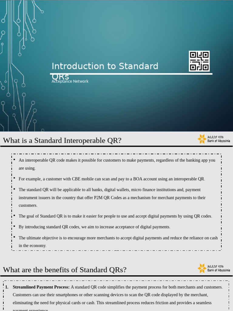 Introduction to Standard QRS | PDF | Qr Code | Computing