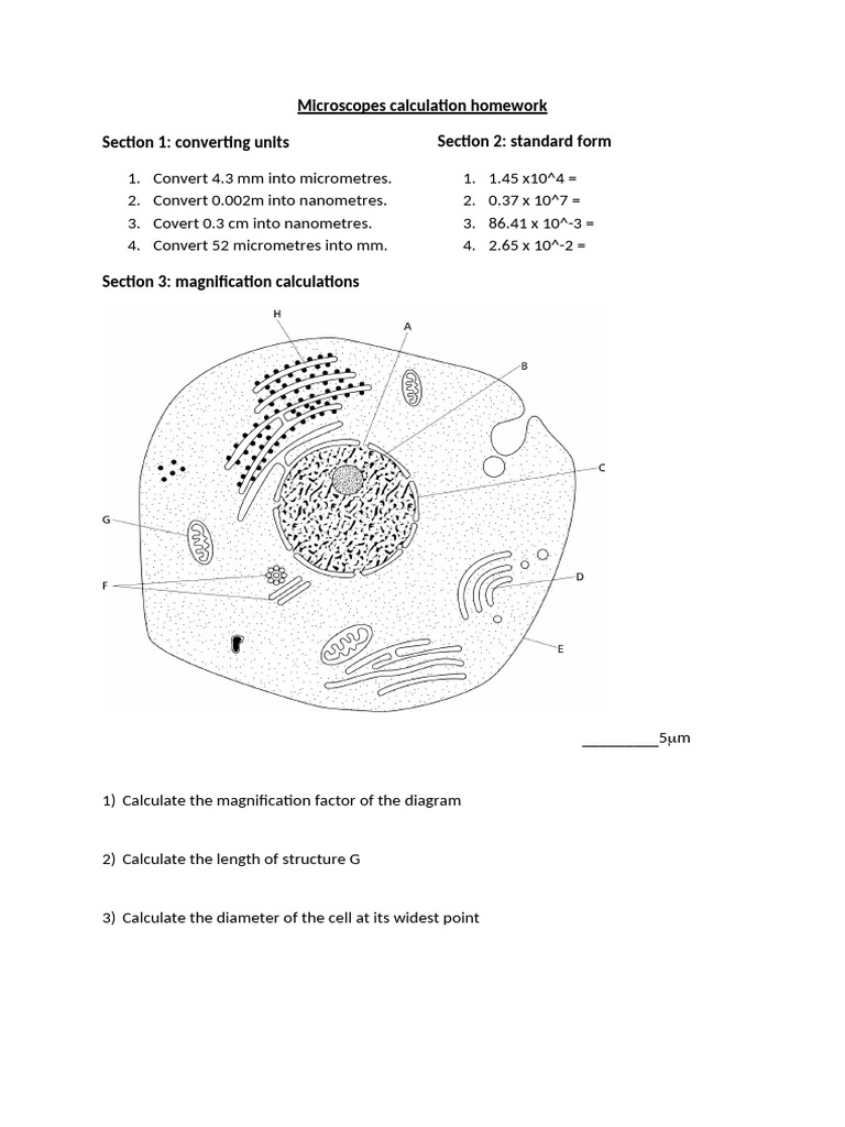 Microscopes calculation homework | PDF Microscopes calculation homework | PDF