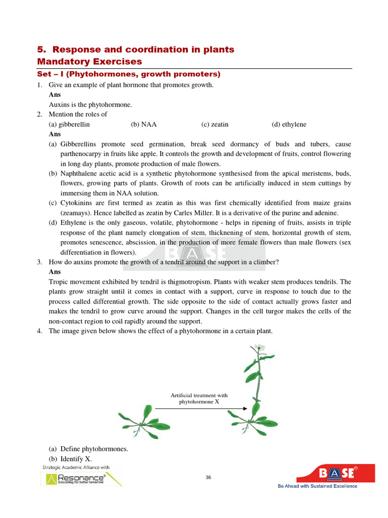 Auxins and Plant Growth Responses | PDF | Plant Hormone | Auxin