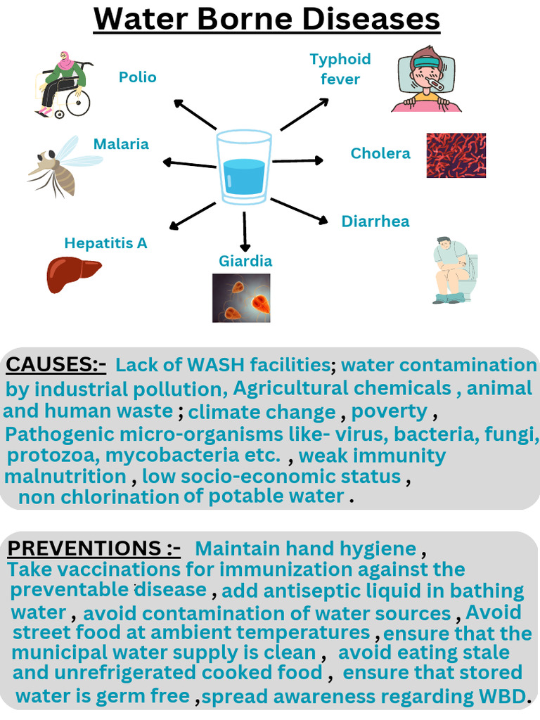 Water Borne Disease | PDF