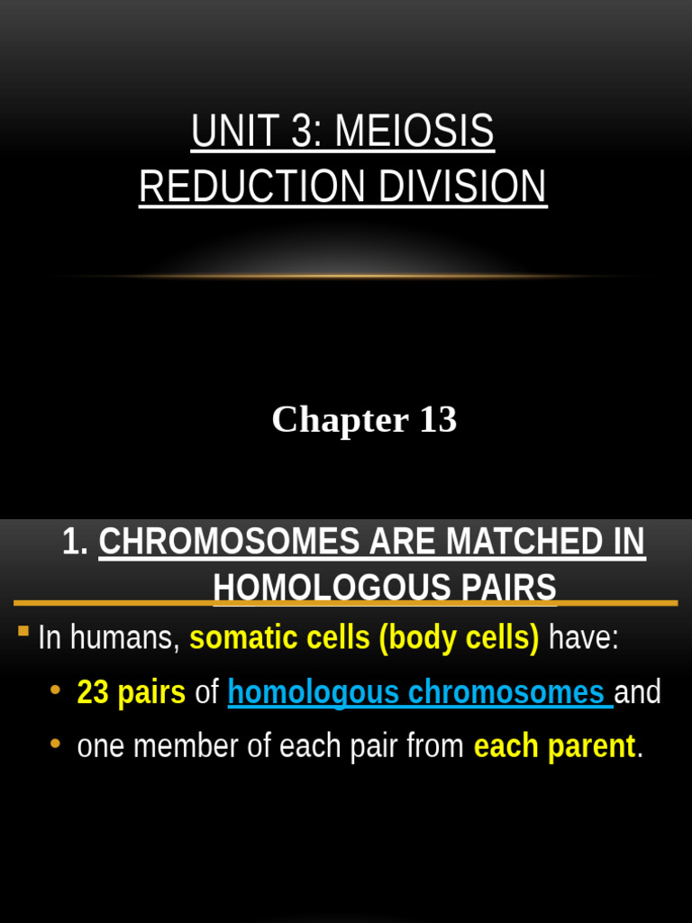 MEIOSIS PP SLIDES | PDF | Meiosis | Ploidy