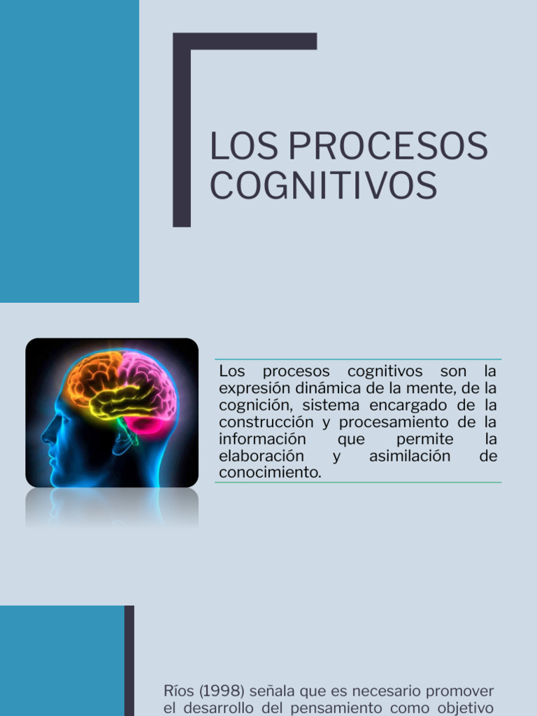 Los Procesos Cognitivos | PDF | Cognición | Pensamiento