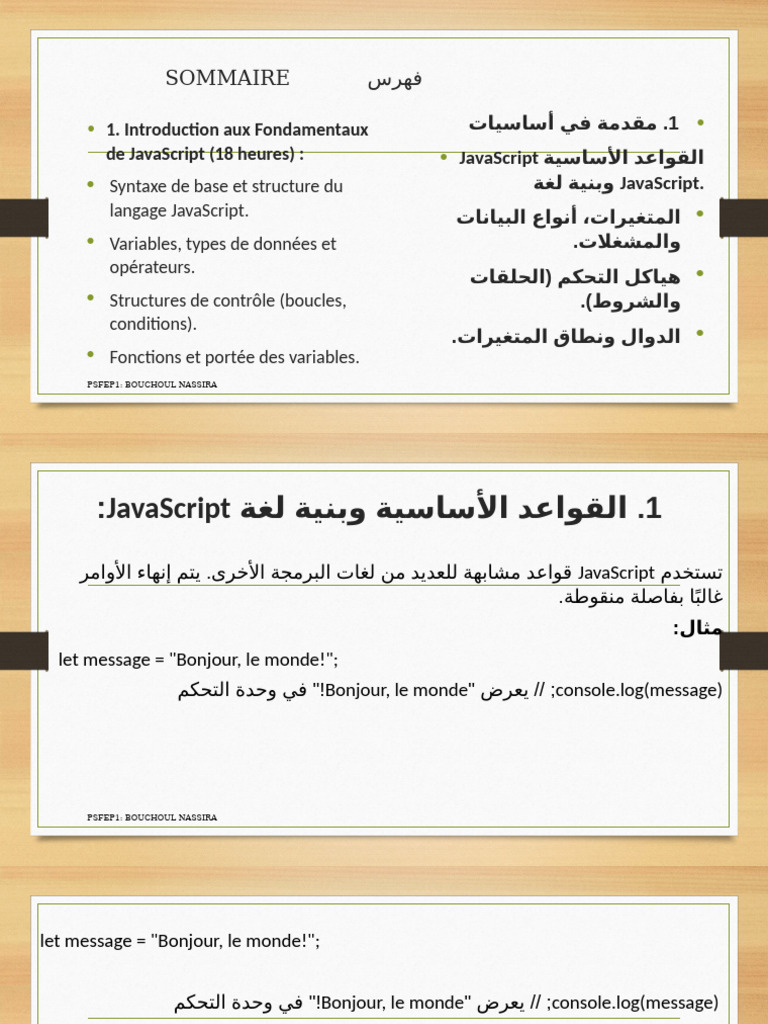 1 Er Cours JAVASCRIPT | PDF