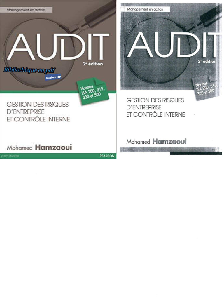 Audit - Gestion Des Risques D - Entreprise Et Contrôle Interne | PDF