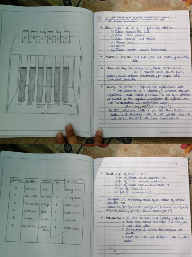Chemistry Practicle File Work 1 Pdf