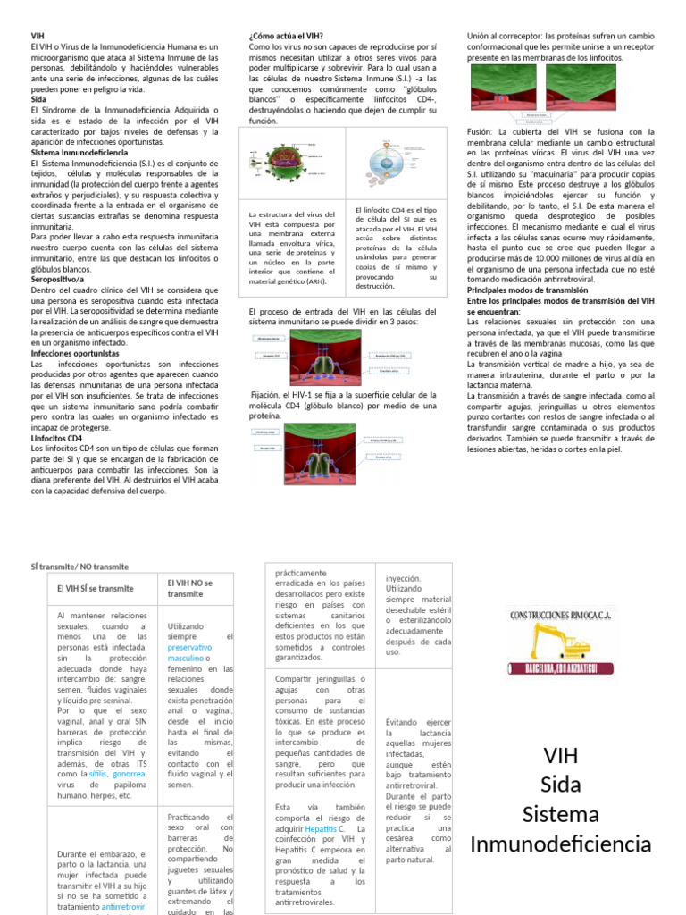 VIH ¿Cómo Actúa El VIH? | PDF | VIH | Sistema inmune