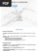 Procesos de Fosilización y Tafonomía | PDF | Fósil | Paleontología