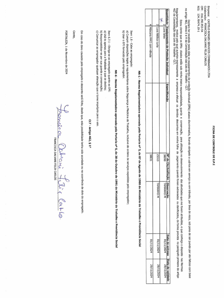 FICHA DE EPI 11.2024 - FRANCISCA DALVANI FELIX CARLOS | PDF