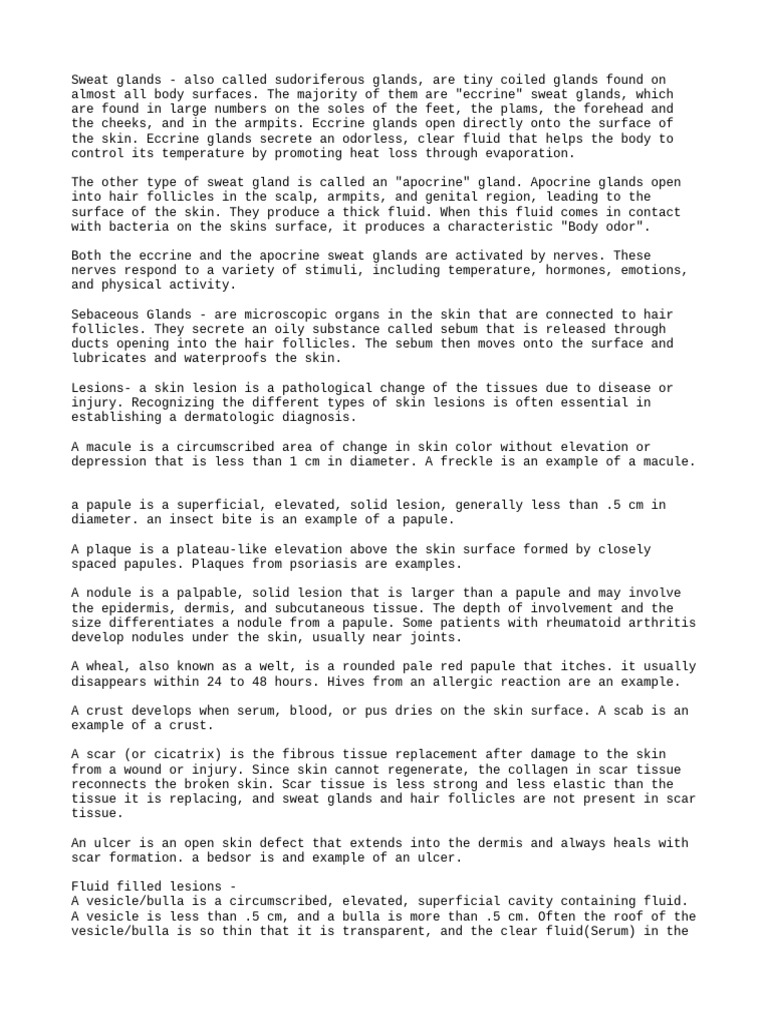 Integumentary System p2 | PDF | Medical Specialties | Integumentary System