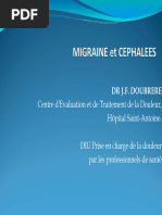 Test de Stroop Victoria : Guide d'utilisation | PDF | Attention | Vert