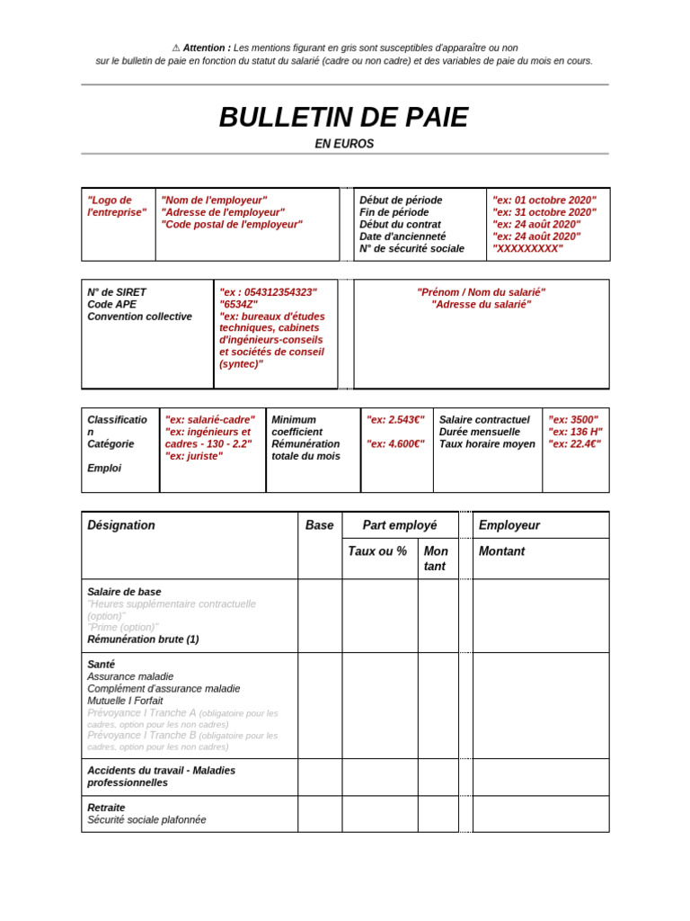 Modèle de Bulletin de Paie Détailé | PDF | Bulletin de salaire (droit ...