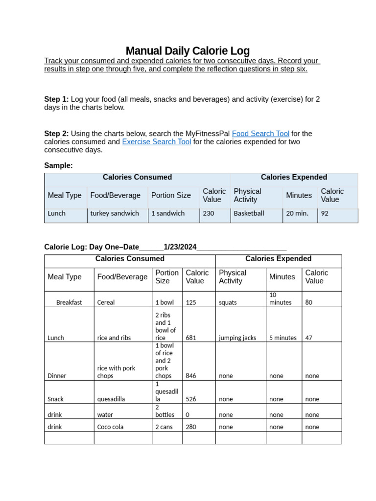 Manual Daily Calorie Log | PDF | Dieting | Meal