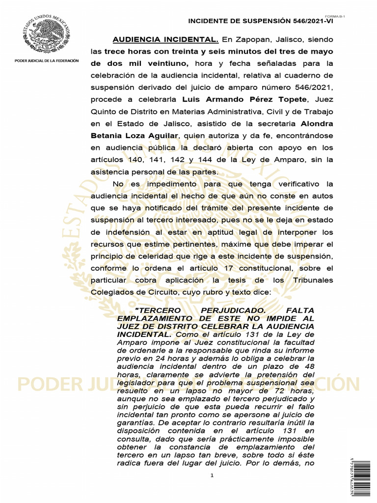 Audiencia Incidental | PDF | Juez | Caso de ley