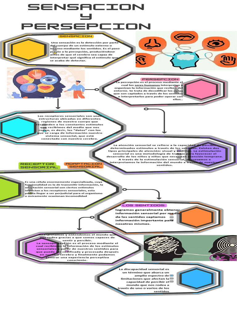Persepcion y Sensacion | PDF | Sentidos | Percepción