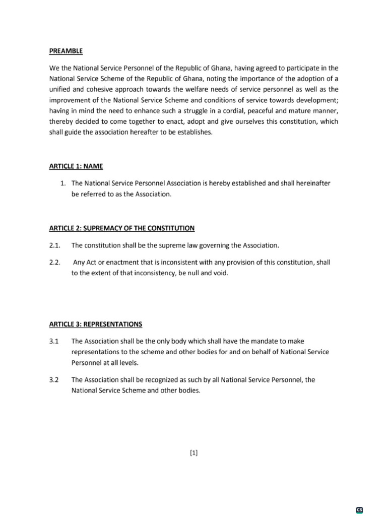 NASPA Constitution and Resources | PDF