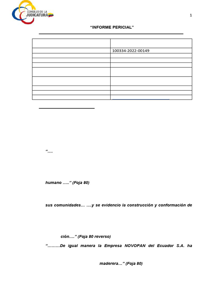 Formato de informe pericial | PDF | Cuenca de drenaje | Agua