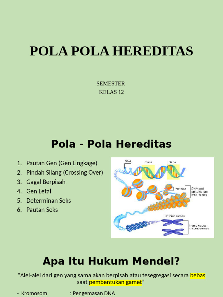 POLA POLA HEREDITAS | PDF