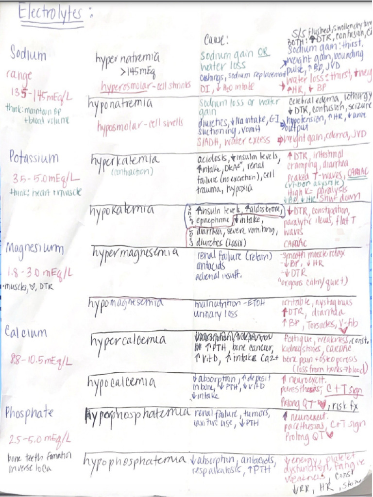 Electrolyte Chart | PDF