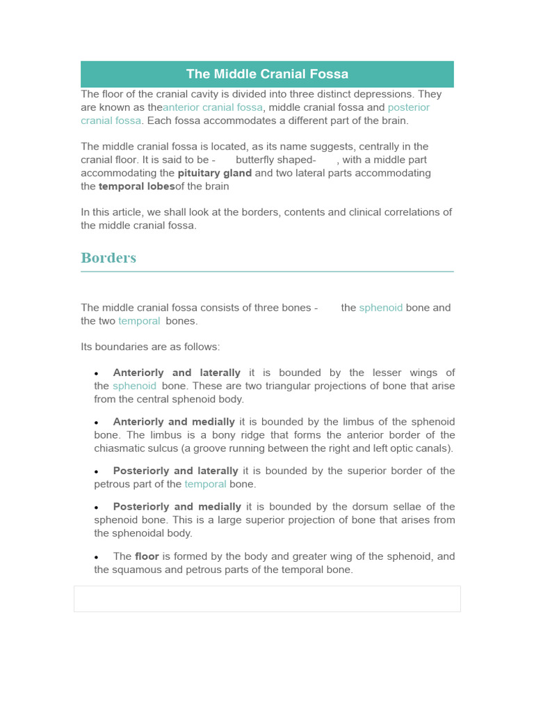 Middle Cranial Fossa | PDF | Skeletal System | Human Head And Neck