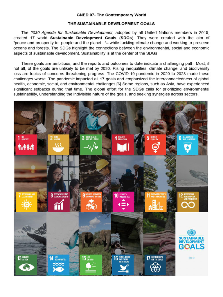 SDG MODULE | PDF | Sustainability | Sustainable Development