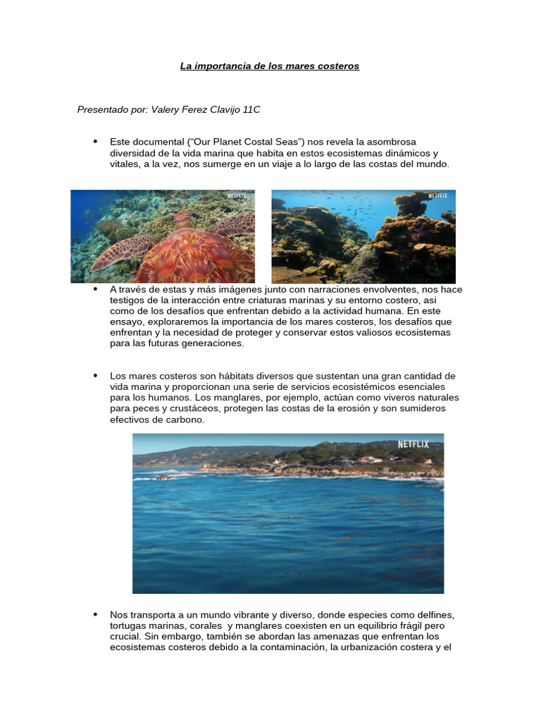 La Importancia de Los Mares Costeros | PDF | Mar | Entorno natural