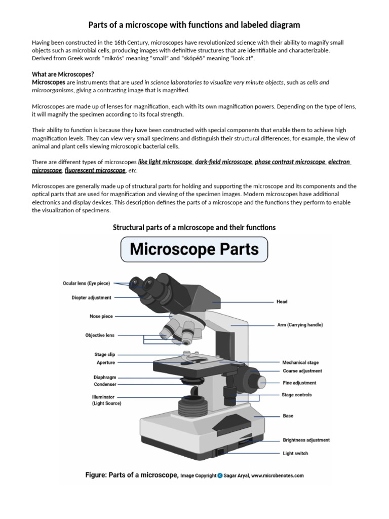 T1 Parts of a microscope with functions and labeled diagram | PDF ...