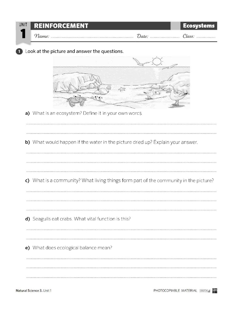 Reinforcement Ecosystems | PDF