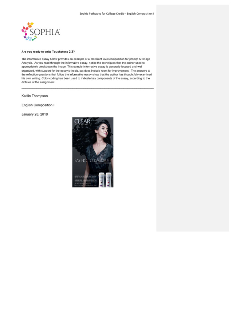 Touchstone 2.2 Sample Image Analysis Draft | PDF | Essays | Advertising