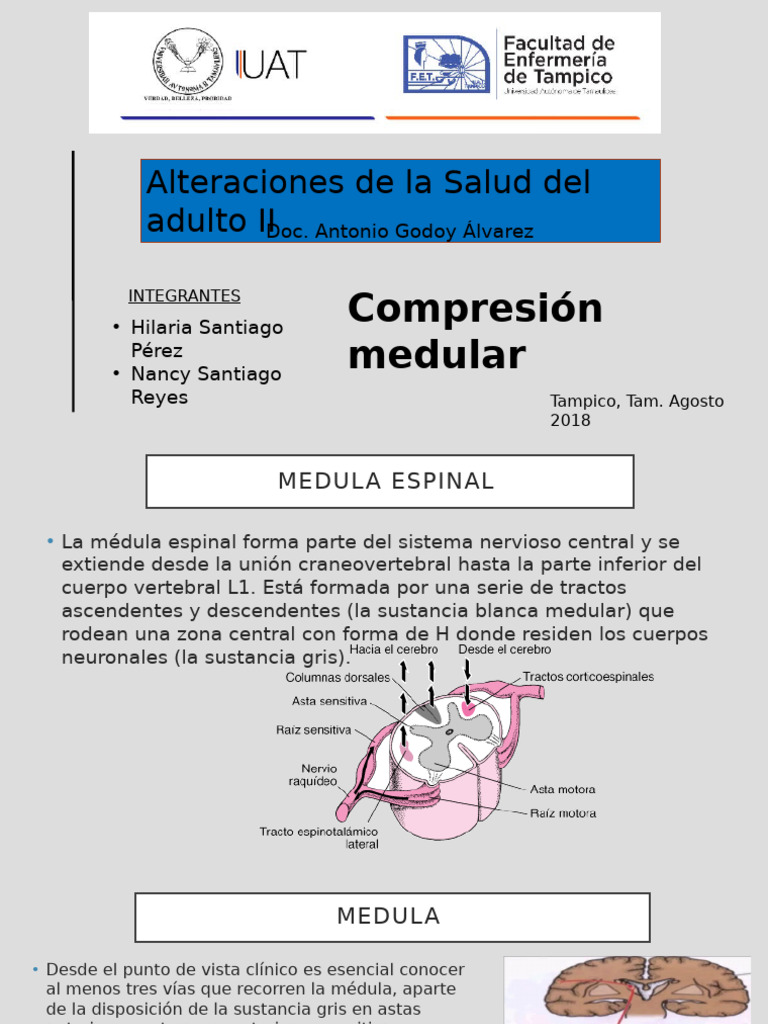 Eq.4 Compresion Medular | PDF | Médula espinal | Materia gris