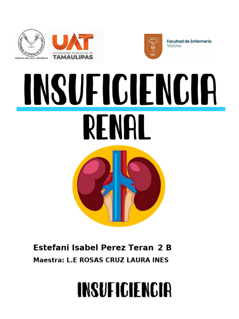 Estefani Isabel Perez Teran2 B NEFROPATAaaaaa | PDF | Enfermedad del riñon | Medicina CLINICA