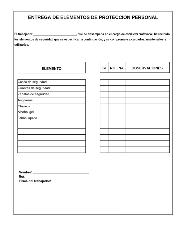 Entrega Epp Modelo | PDF