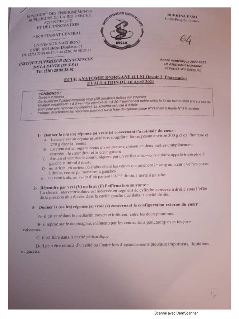 Devoir Anatomie General Du 16 Avril 2021-1 | PDF