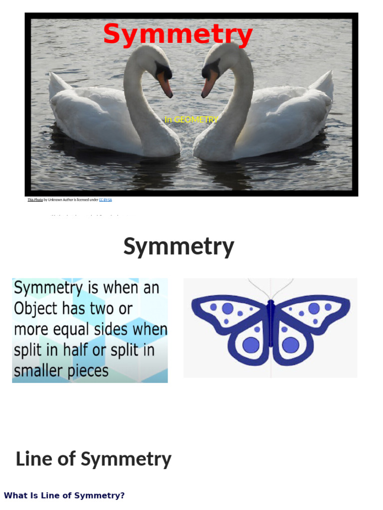 Symmetry | PDF