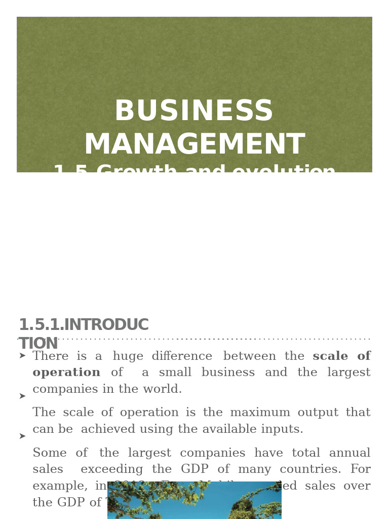 IB - 1.5.Growth and Evolution 1.6 MNCs 1 | PDF | Franchising ...