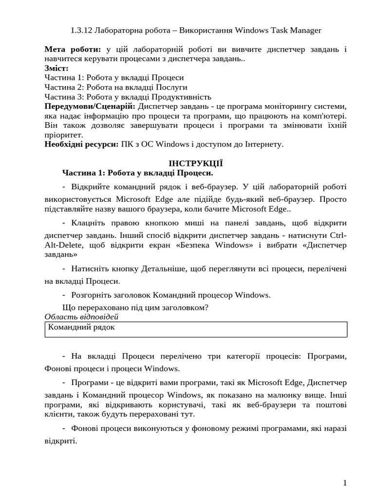Використання Windows Task Manager | PDF