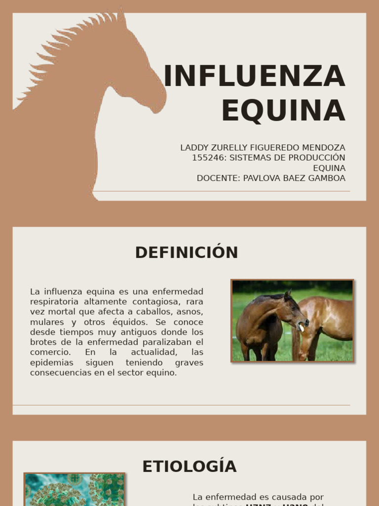 Influenza Equina Zure | PDF | Influenza | Microbiología