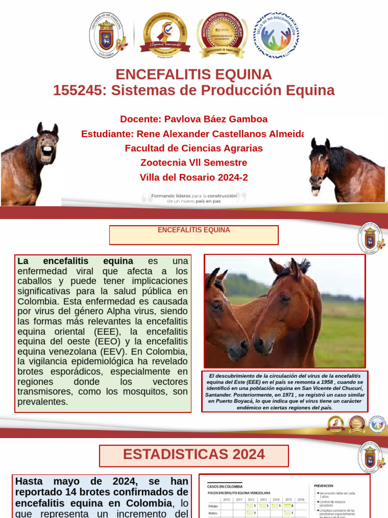 Encefalitis Equina en Colombia 2024 | PDF | Epidemiología ...