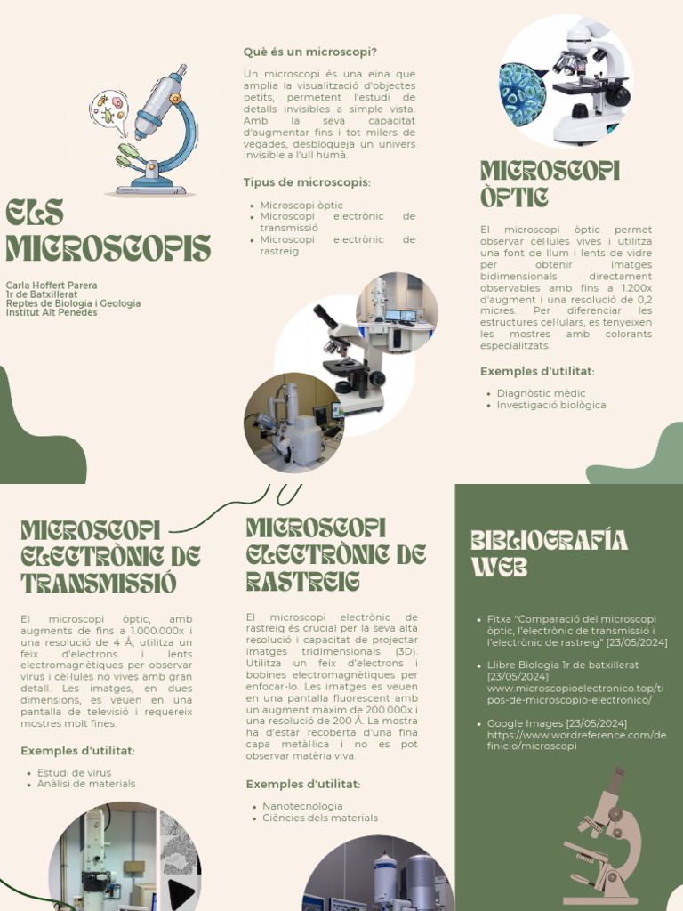 Tríptic Informatiu Sobre Els Microscopis | PDF