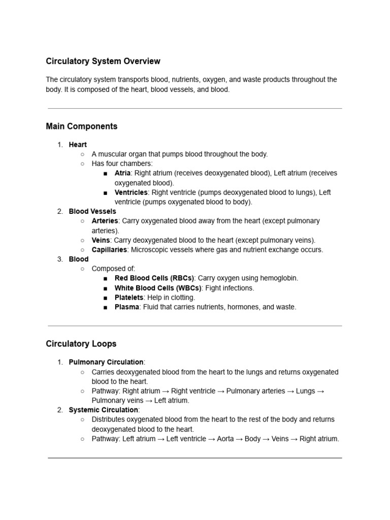 Circulatory System Overview | PDF