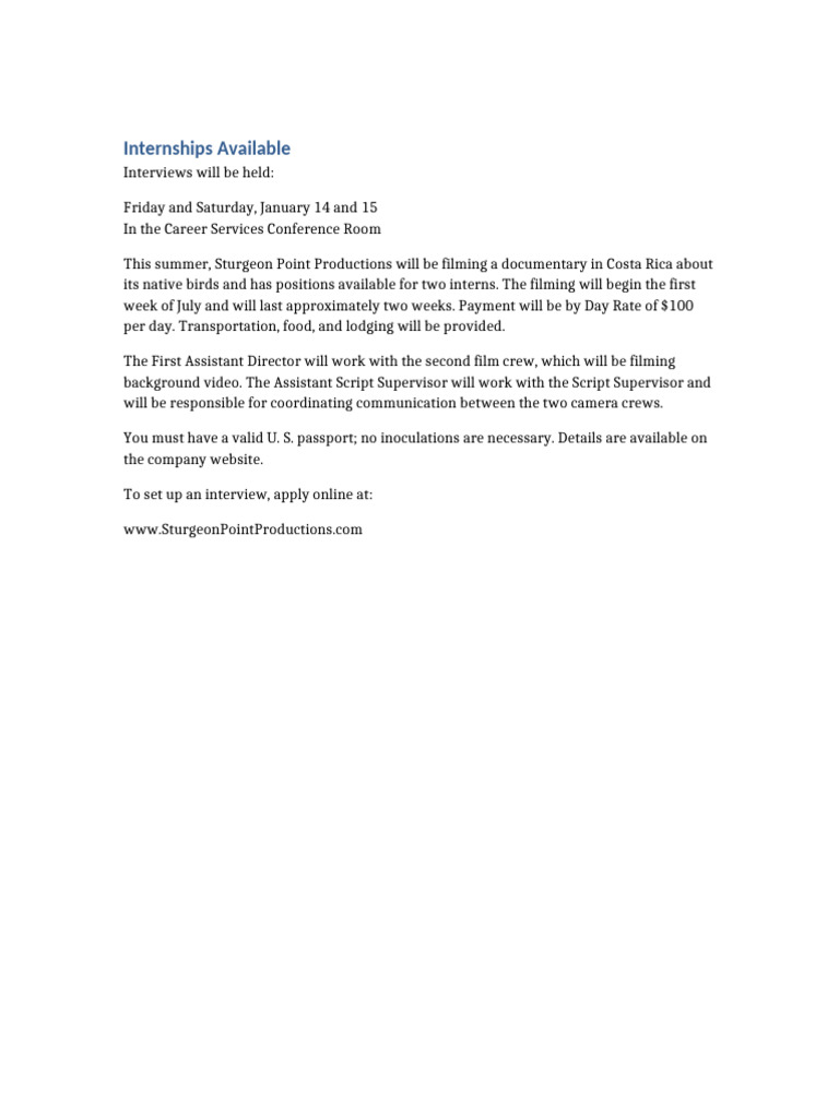 Internship Flyer | PDF