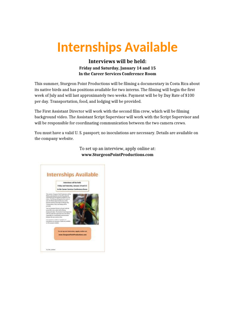 Simplified Internship Flyer | PDF