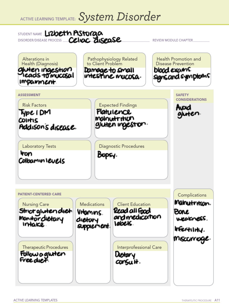 ActiveLearningTemplate Sysdis | PDF