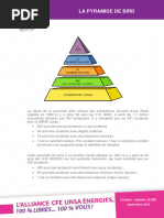 Pyramide de Bird : Outil de sécurité au travail | PDF | Gestion des ...