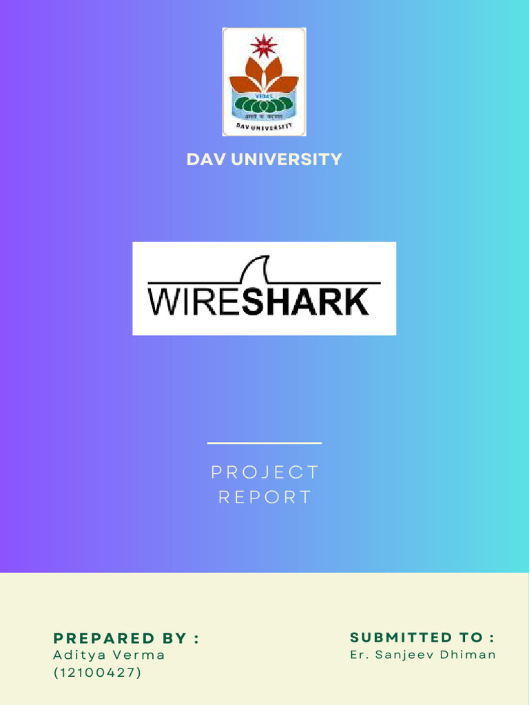 Network Activity Investigation Report | PDF | Text File | Streaming Media