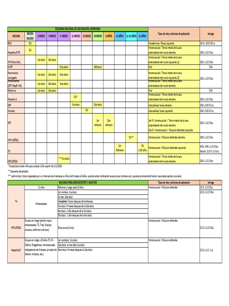 Esquema Pai | PDF | Vacunación | Medicina CLINICA
