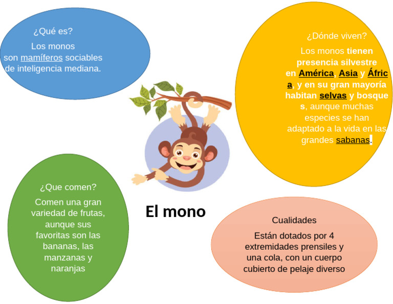 El Mono Exposicion | PDF